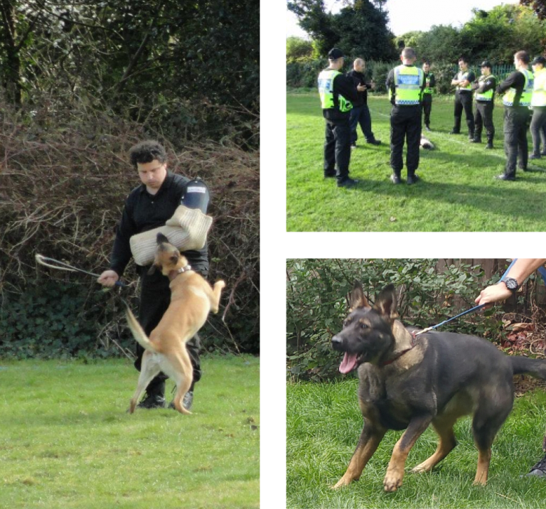 About Us | Market Leaders In K9 Security | Guard Dog Security