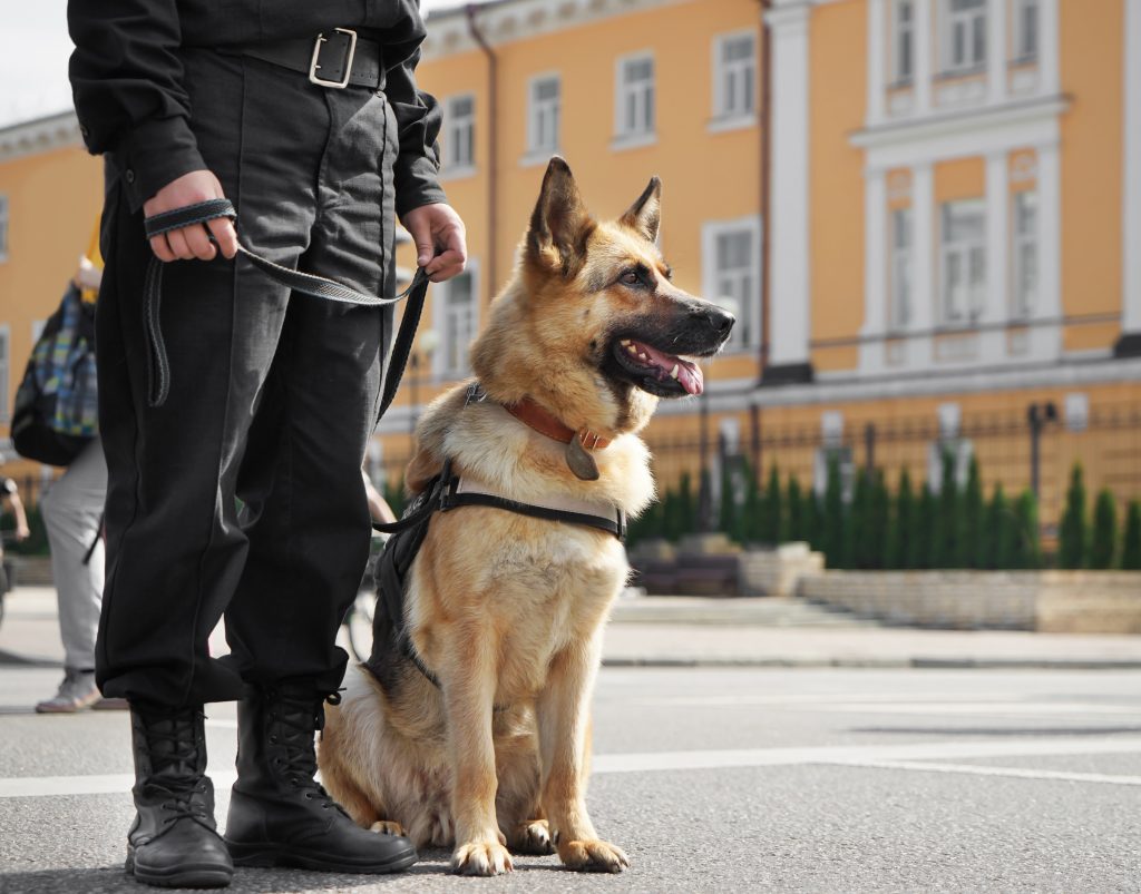 Guard Dog Security Services | Guard Dog Security